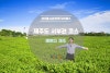 브이패스가 말하는 제주도 서부 여행코스 네이버 블로그